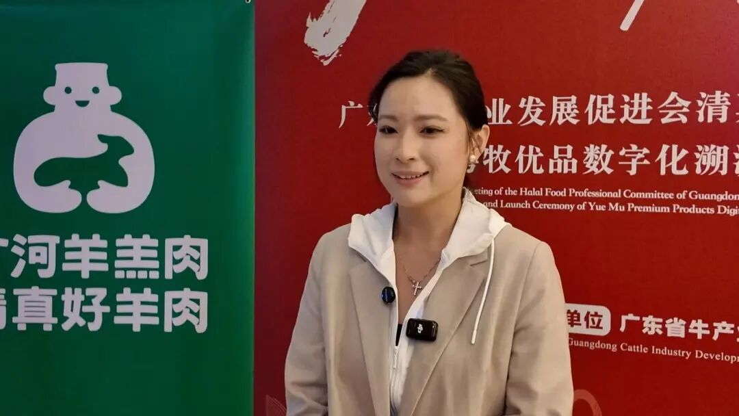 勇闯粤港澳大湾区——广河牛羊肉南下记